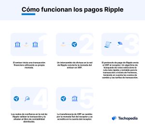 ¿Qué es Ripple XRP? Guía completa de la moneda de Ripple Labs