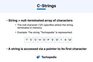 What is Sentinel Value? Definition, Types & Examples - Techopedia