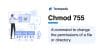What is Chmod 755? Definition, Types & Examples Techopedia