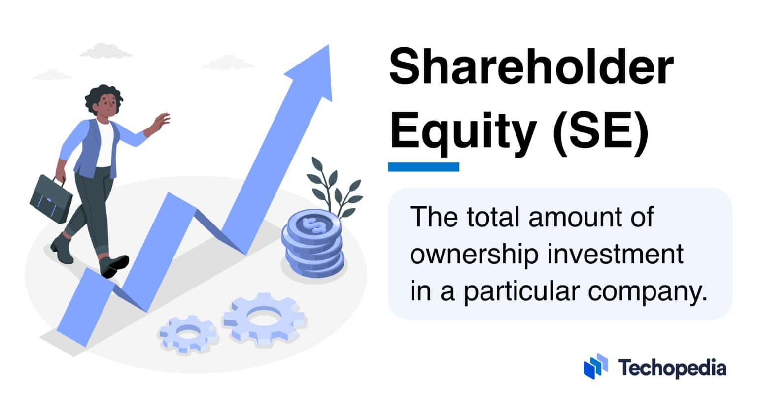 What is Shareholder Equity? SE Definition & How It Helps Investors