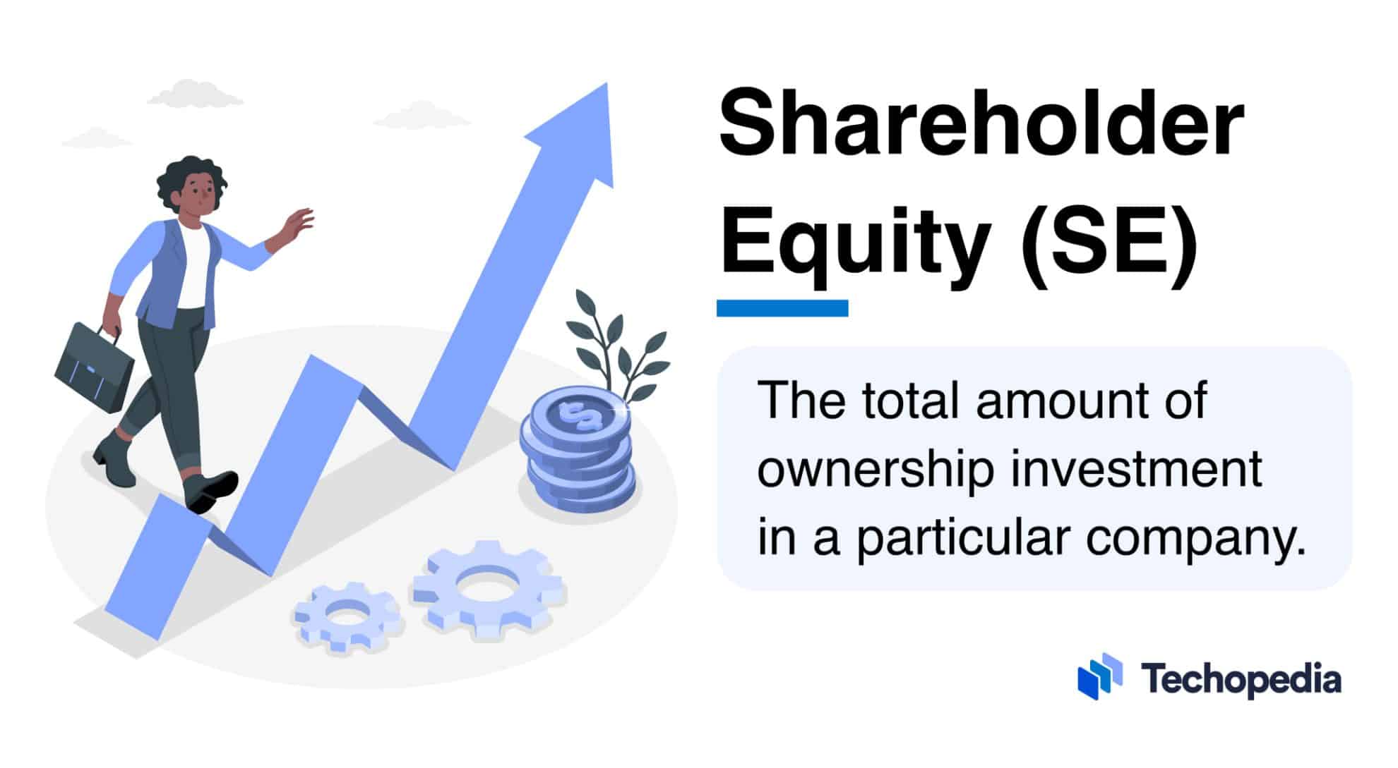 What is Shareholder Equity? SE Definition & How It Helps Investors