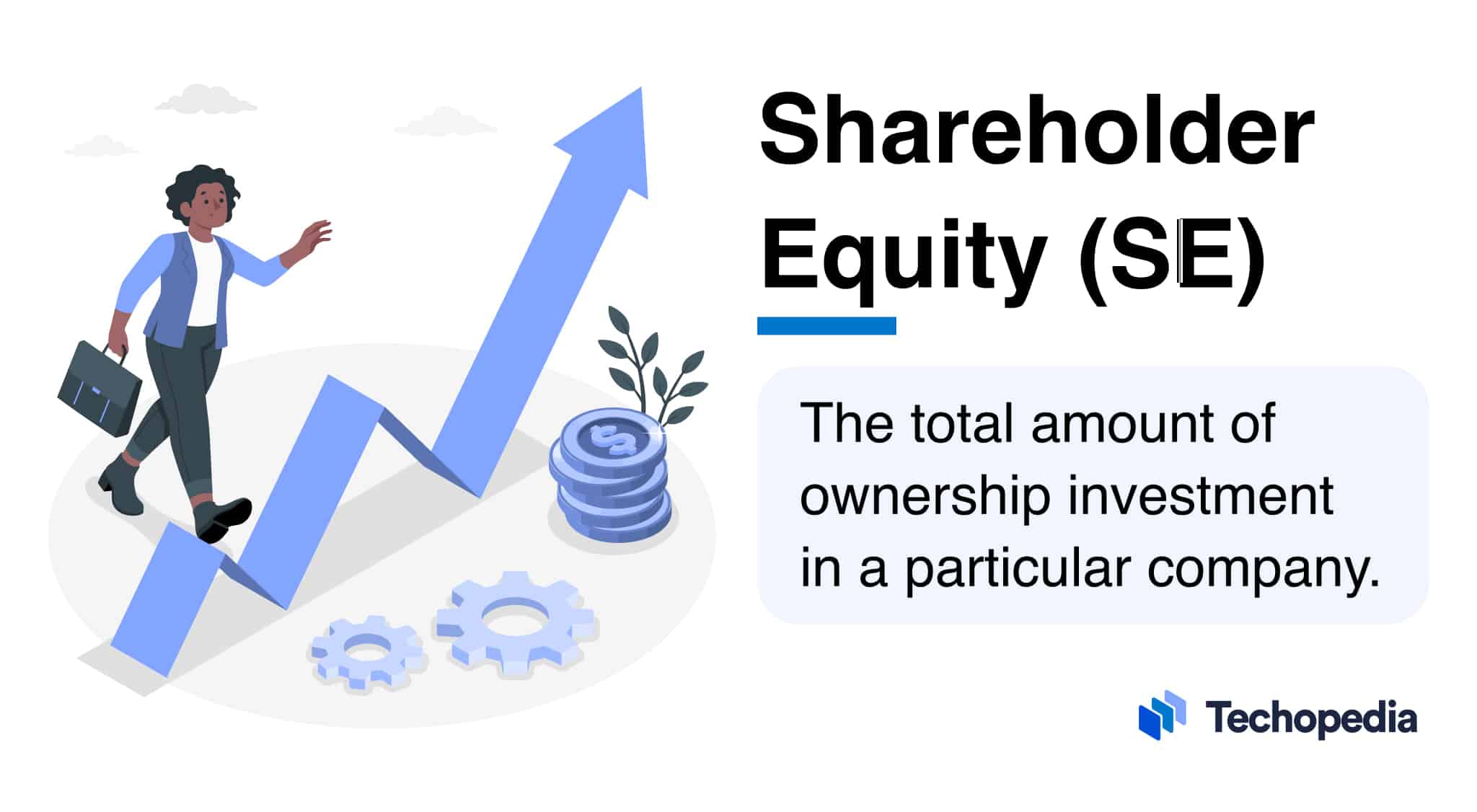 What is Shareholder Equity? SE Definition & How It Helps Investors